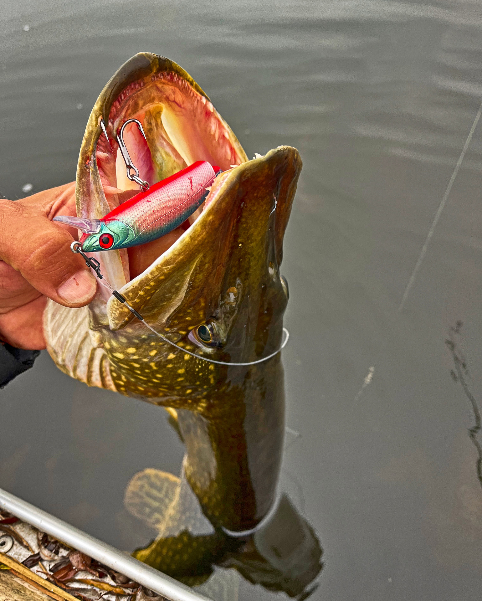 Rico Boss 110 Pike Heaven :: www.ricolure.com